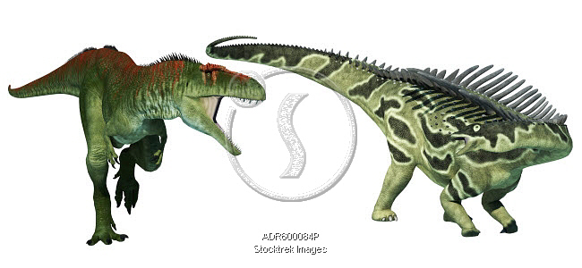 Tyrannotitan dinosaur attacking an Agustinia sauropod. | Stocktrek Images