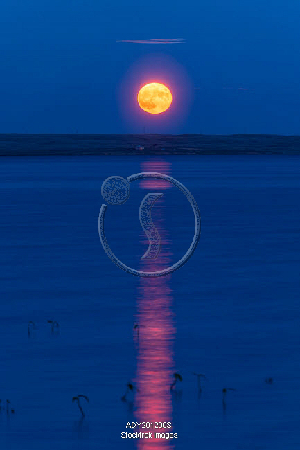 Glitter path of the rising Strawberry Moon of June 24, 2021 over ...