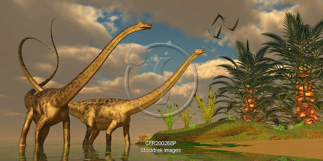 Diplodocus dinosaurs in a mating ritual. | Stocktrek Images