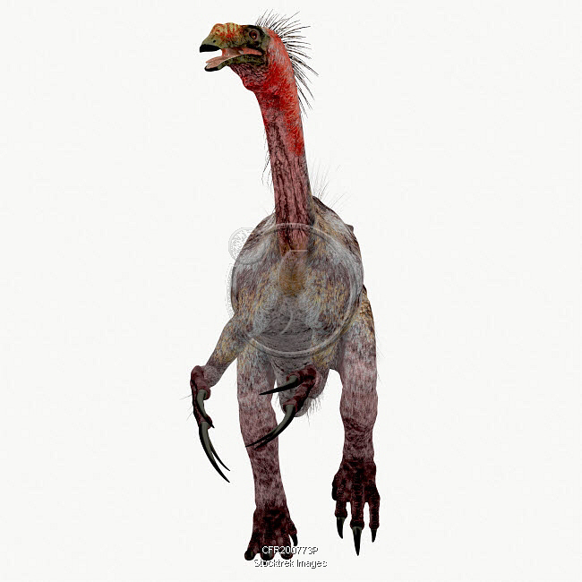 Front view of a Therizinosaurus dinosaur. | Stocktrek Images