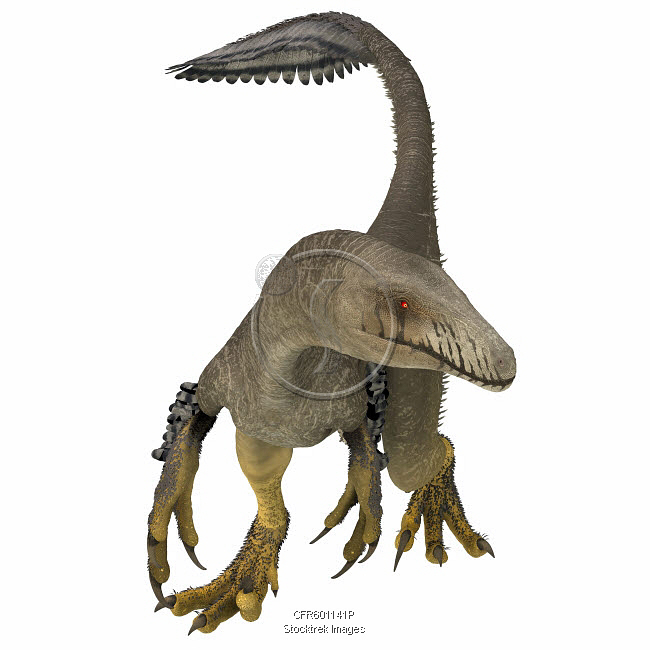 Dakotaraptor dinosaur, front view. | Stocktrek Images