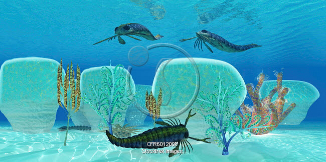 Pterygotus swimming in prehistoric waters. | Stocktrek Images