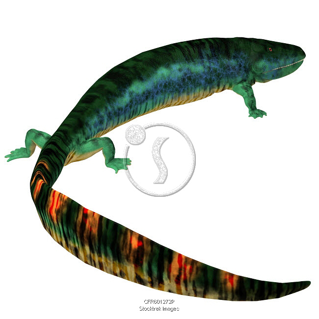 Eogyrinus tetrapod. | Stocktrek Images
