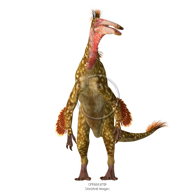Deinocheirus dinosaur, front view on white background. | Stocktrek Images