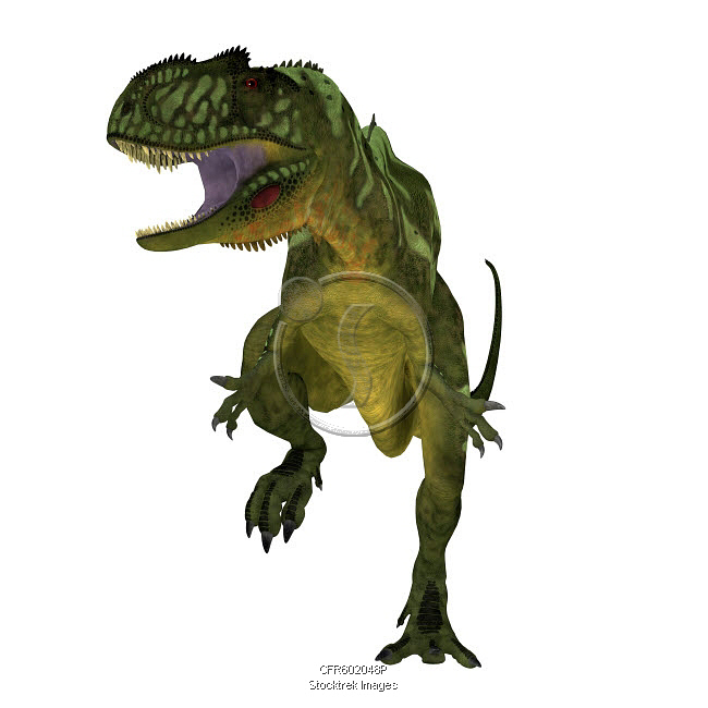 Yangchuanosaurus dinosaur, front view on white background. | Stocktrek ...