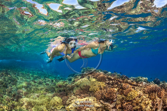 Two women free diving over a Hawaiian reef. | Stocktrek Images