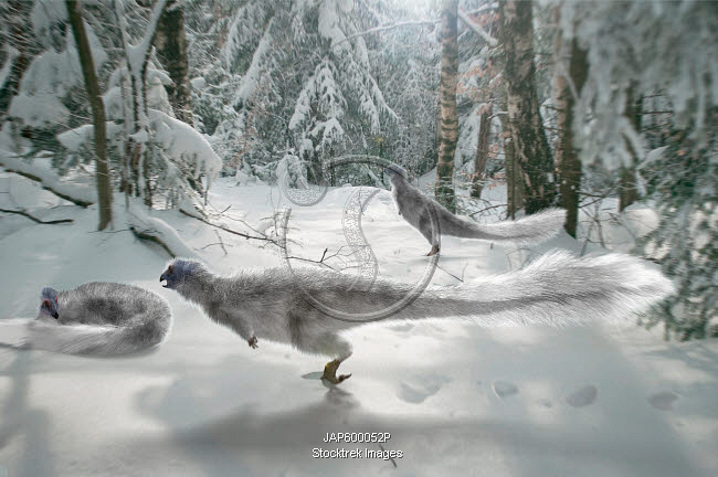 Small Leaellynasaura dinosaurs protect themselves from the winter cold ...