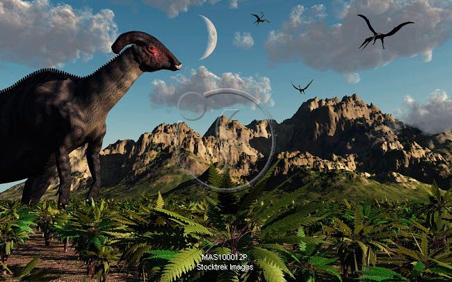 A Parasaurolophus dinosaur during the late Cretaceous period ...