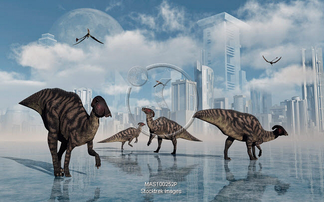 A group of Parasaurolophus duckbill dinosaurs gather at a feeding ...