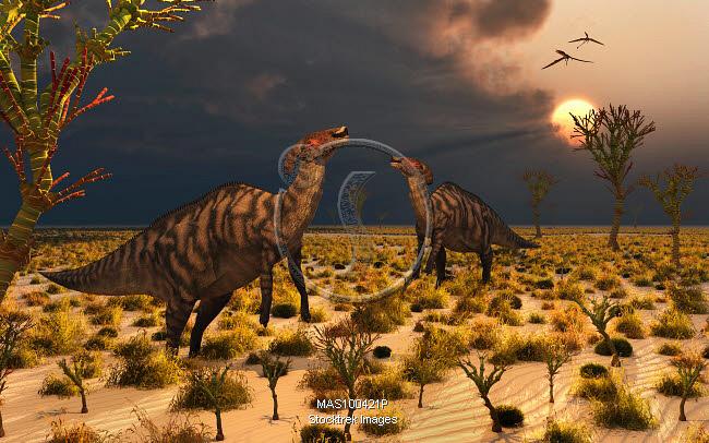 A pair of Parasaurolophus duckbill dinosaurs. | Stocktrek Images