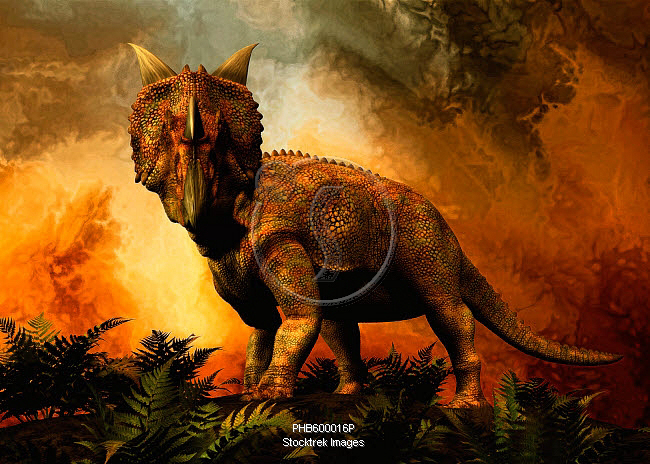 Einiosaurus was a ceratopsian dinosaur from the Upper Cretaceous period ...