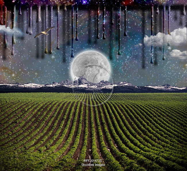 Giant moon rises over the mountains and a field of green rows ...