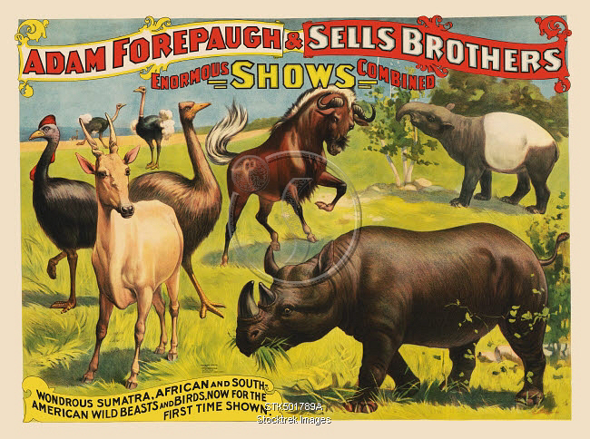 Vintage circus poster for Adam Forepaugh & Sells Brothers enormous ...