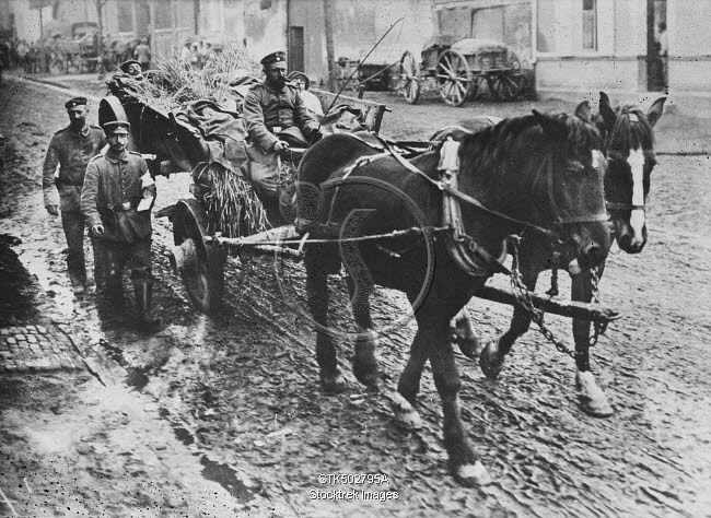 Wounded Russian prisoners being carried in a horse-drawn cart during ...